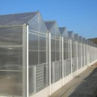 China Customizable Hydroponic System for Vegetables and Flowers Tailored to Meet Your Needs for sale