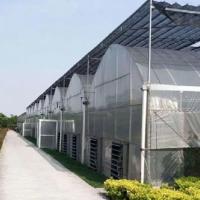 China Customizable Hydroponic System for Vegetables and Flowers Tailored to Meet Your Needs for sale
