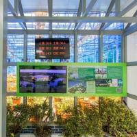 China Juxiang Sheet PC Board Green House for Hydroponic Growing Systems Strawberry Customized for sale