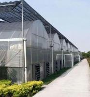 China Juxiang Multi-Span Humidity Control Greenhouse for Peppers Film Greenhouse Department for sale