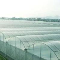 China Juxiang Multi-Span Humidity Control Greenhouse for Peppers Film Greenhouse Department for sale