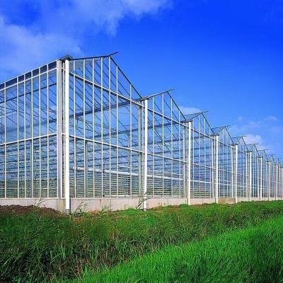 China Hydroponic Vegetable Growing Venlo Glass Greenhouse with Double Layer and Type Roof for sale