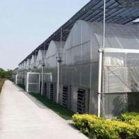China Multi-Span Juxiang Hydroponic System Humidity Greenhouse for Flowers Return refunds for sale