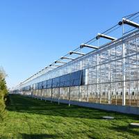 China Hot Water Heating Multi-Span Seedling Glass Greenhouse for Hydroponics Stromal Control for sale