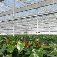 China Hot Water Heating Multi-Span Seedling Glass Greenhouse for Hydroponics Stromal Control for sale