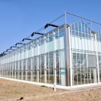 China Hot Water Heating Multi-Span Seedling Glass Greenhouse for Hydroponics Stromal Control for sale