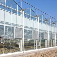 China Hot Water Heating Multi-Span Seedling Glass Greenhouse for Hydroponics Stromal Control for sale