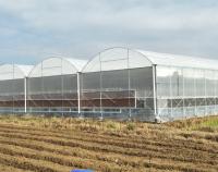 China Double-Film Hydroponic System for Cucumber Package Size 12.09cm * 2.35cm * 2.39cm for sale