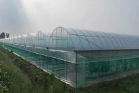 China Double-Film Hydroponic System for Cucumber Package Size 12.09cm * 2.35cm * 2.39cm for sale