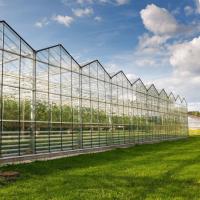 China Venlo Hollow Double Layer Tempered Glass Greenhouse for Hydroponics Growing System for sale