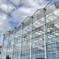 China Venlo Hollow Double Layer Tempered Glass Greenhouse for Hydroponics Growing System for sale