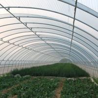 China US Single-Arch Hydroponics Greenhouse for Pepper Production Package Gross Weight 2000.000kg for sale