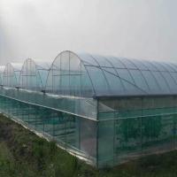 China US Single-Arch Hydroponics Greenhouse for Pepper Production Package Gross Weight 2000.000kg for sale