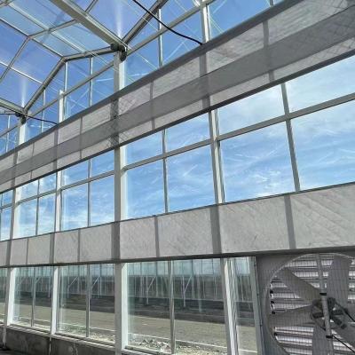 China Venlo-Style Roof Multi-Span Controlled Humidity Glasshouse for Hydroponic Seedlings for sale