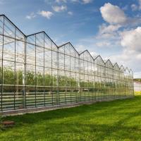 China Venlo-Style Roof Multi-Span Controlled Humidity Glasshouse for Hydroponic Seedlings for sale