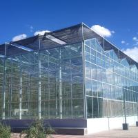 China Venlo-Style Roof Multi-Span Controlled Humidity Glasshouse for Hydroponic Seedlings for sale