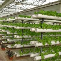 China Venlo-Style Roof Multi-Span Controlled Humidity Glasshouse for Hydroponic Seedlings for sale