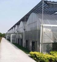 China 1209.00cm * 235.00cm * 239.00cm Customizable Film Greenhouse for Vegetable Farming for sale