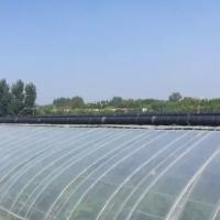 China 1209.00cm * 235.00cm * 239.00cm Customizable Film Greenhouse for Vegetable Farming for sale