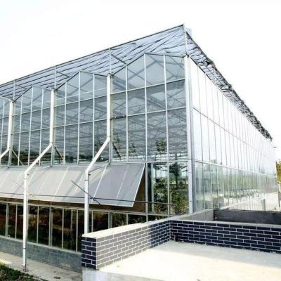 China Origin Vegetable and Flower Glass Greenhouse with Hydroponics Cultivation Method for sale