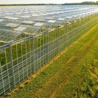 China Origin Vegetable and Flower Glass Greenhouse with Hydroponics Cultivation Method for sale