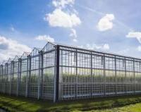 China Origin Vegetable and Flower Glass Greenhouse with Hydroponics Cultivation Method for sale