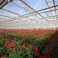 China Origin Vegetable and Flower Glass Greenhouse with Hydroponics Cultivation Method for sale