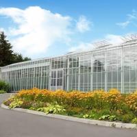 China Origin Vegetable and Flower Glass Greenhouse with Hydroponics Cultivation Method for sale