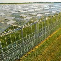 China Eco-Friendly Multi Span Glass Greenhouse Customization and Estimated Delivery Time for sale