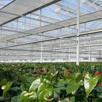China Eco-Friendly Multi Span Glass Greenhouse Customization and Estimated Delivery Time for sale