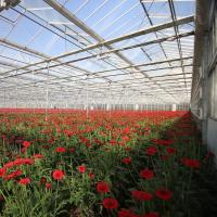China Eco-Friendly Multi Span Glass Greenhouse Customization and Estimated Delivery Time for sale