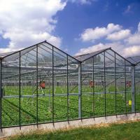 China Eco-Friendly Multi Span Glass Greenhouse Customization and Estimated Delivery Time for sale