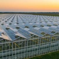 China Eco-Friendly Multi Span Glass Greenhouse Customization and Estimated Delivery Time for sale