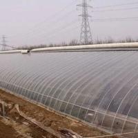 China 1209cm * 235cm * 239cm Package Size Greenhouse for Tomato and Cucumber Farm Full Payment for sale