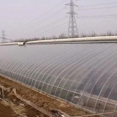 China 1209cm * 235cm * 239cm Package Size Greenhouse for Tomato and Cucumber Farm Full Payment for sale