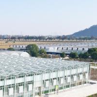 China Multi-Function Glass Greenhouse for Customized Aquaponics Vegetable Farming Solutions for sale