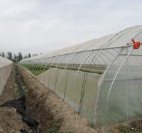 China Initial Payment Large Pepper and Flower Hydroponic with Film Greenhouse Full Payment for sale