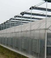 China Initial Payment Large Pepper and Flower Hydroponic with Film Greenhouse Full Payment for sale