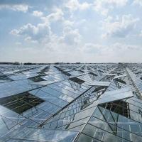 China Glass Greenhouse with Hydroponics Growing Customized Request Roofing Shape A Type Roof for sale