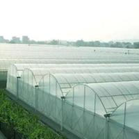 China Customization Option Juxiang Hydroponic System Vegetable Cultivation Film Greenhouse for sale