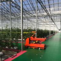 China Hydroponic Glass Greenhouse for Flowers Shipping Cost and Estimated Delivery Time for sale