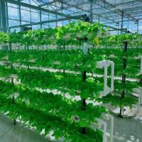 China Hydroponic Glass Greenhouse for Flowers Shipping Cost and Estimated Delivery Time for sale