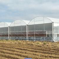 China Single-Arch Greenhouse for Flower Farming Boost Your Flower Production for sale