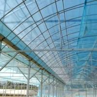China Single-Arch Greenhouse for Flower Farming Boost Your Flower Production for sale