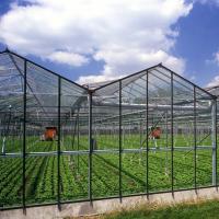 China Glass Greenhouse with Hydroponics Growing System Commercial Greenhouse Promotion for sale
