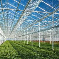 China Venlo Glass Greenhouse for Vegetables Roofing Shape a Type Roof 30 Days Return refunds for sale