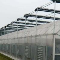 China Double Layer Film Greenhouse for Soilless Culture Tomato Cucumber Flower Farming for sale
