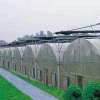 China Double Layer Film Greenhouse for Soilless Culture Tomato Cucumber Flower Farming for sale