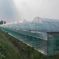 China jx-fg-42 Steel Structure Anti-Drip Fogging Film Greenhouse for Single-Film Hydroponic for sale