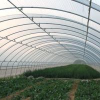 China Temporary Heating Arched Roof Film Greenhouse for Tomato and Cucumber Farming for sale